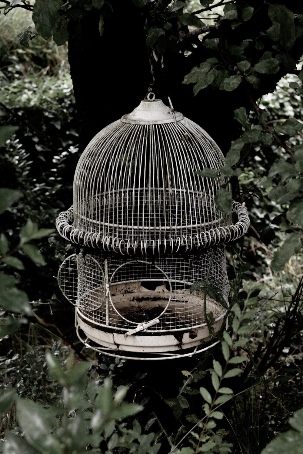 The Cage - Blue Insights - Medium