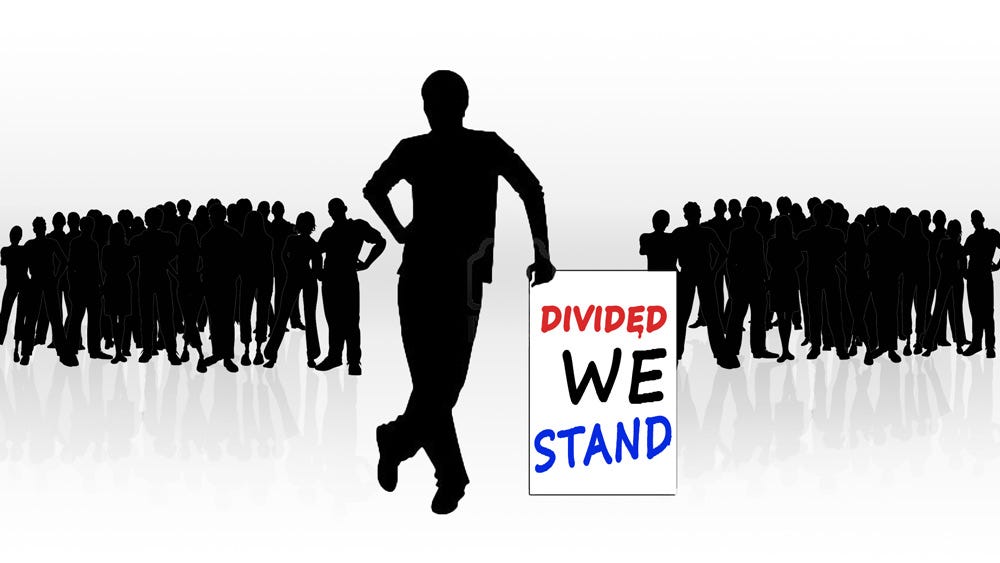 A Divided Nation. What is the identity of America… | by Emily Engel ...