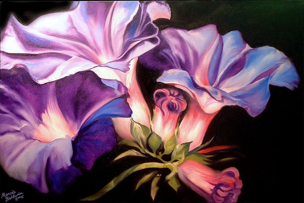 Purple Morning Glories. Lit Up — April’s Prompt: Transition | by Ecem Yucel | Lit Up | Medium