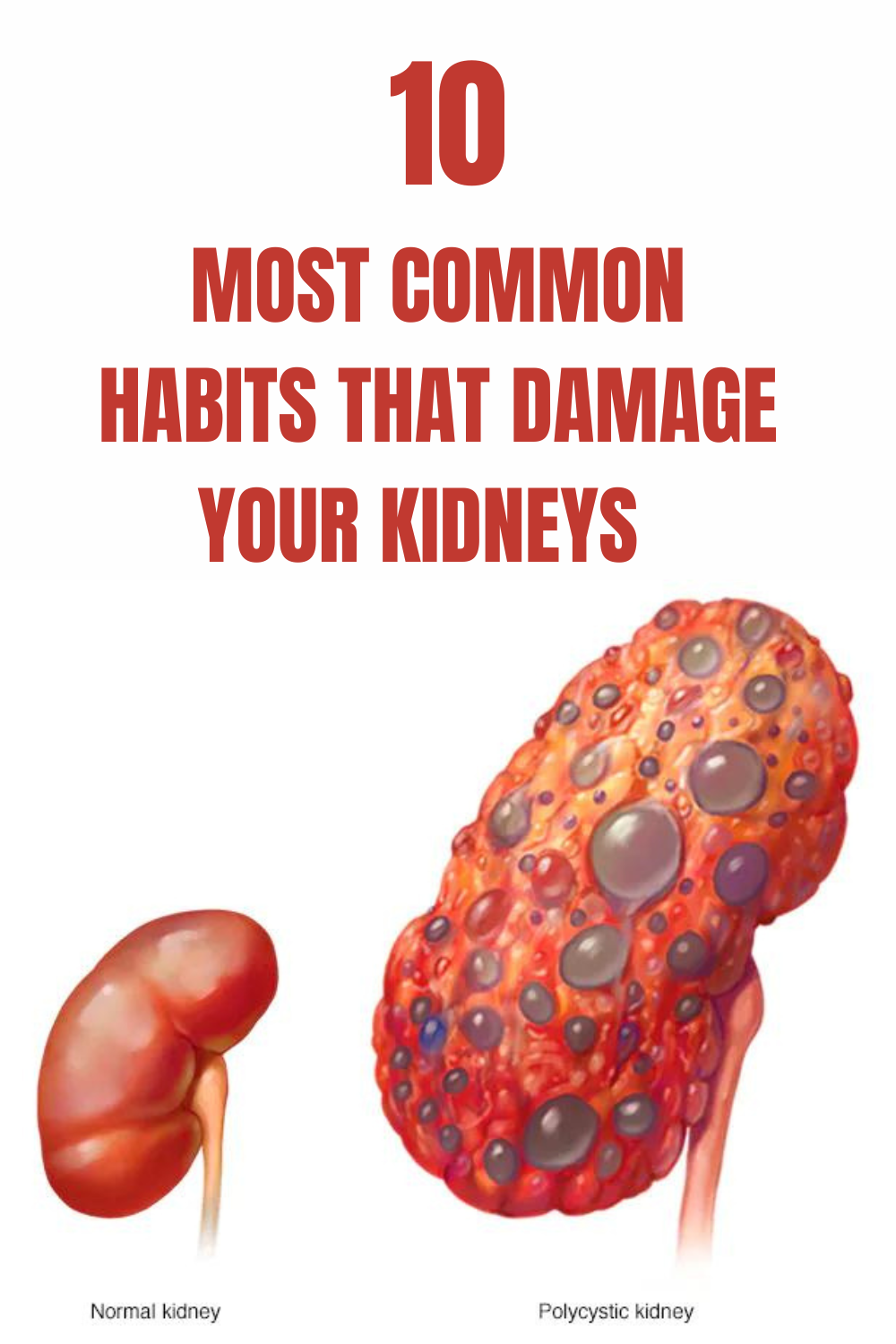 10 Most Common Habits That Damage Your Kidneys - Paula - Medium