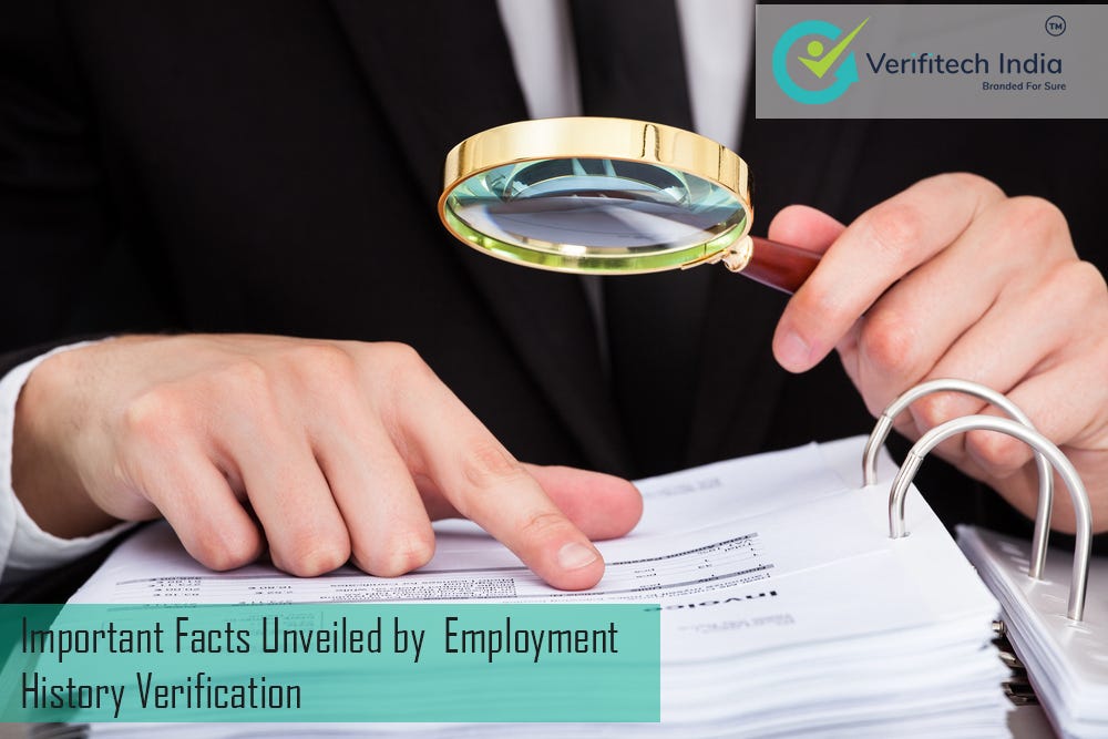 Important Facts Unveiled by Employment History Verification | by ...