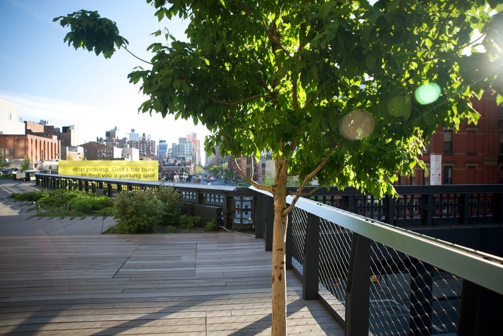 The High Line in Photos | Manhattan Before8 | by Cameron Gidari | Before8