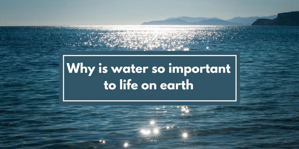 Why is water so important to life on Earth? | by Agileseen | Oct, 2024 ...