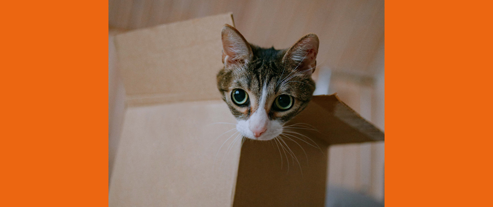 How To Easily Persist Your Data With Context And Asyncstorage By Jqn Javascript In Plain English