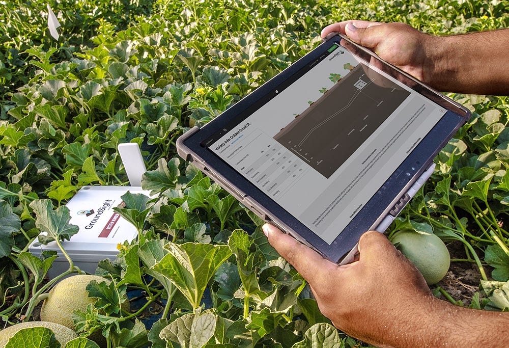 Using Data Visualization During Key Phenological Stages Of Your Crop By Medium