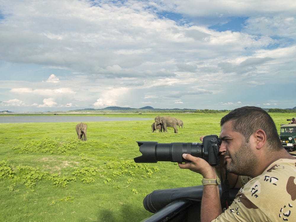 The Magic of Wildlife Photography: Moments You Won’t Want to Miss | by ...