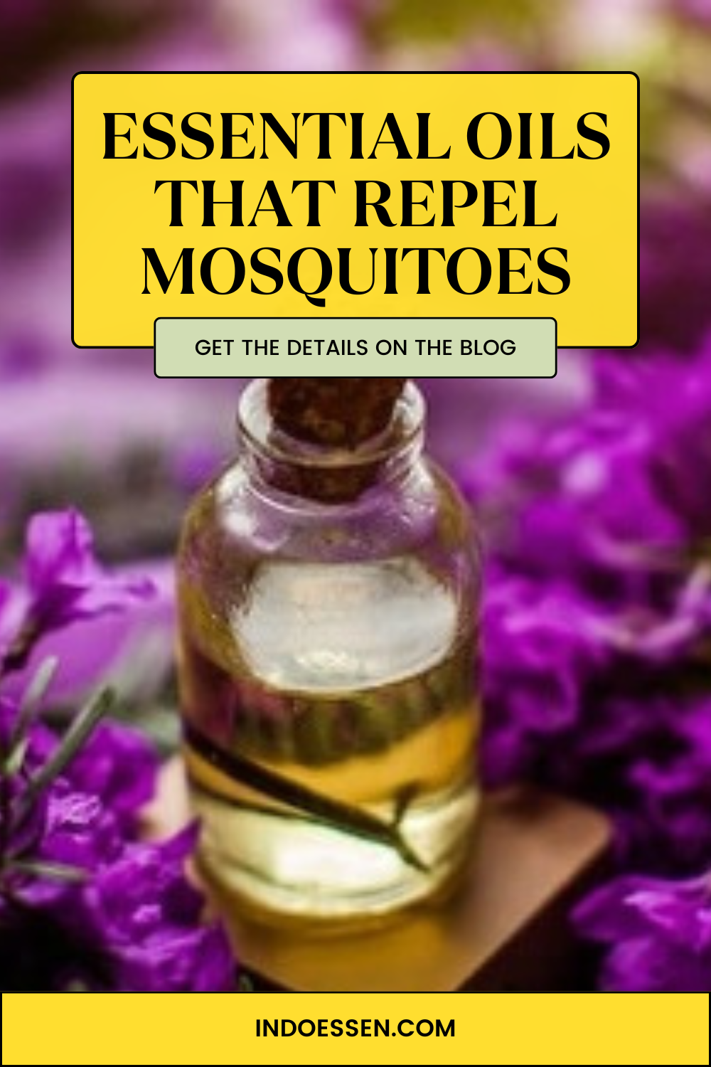 Essential Oils That Repel Mosquitoes - Monica Denvert - Medium