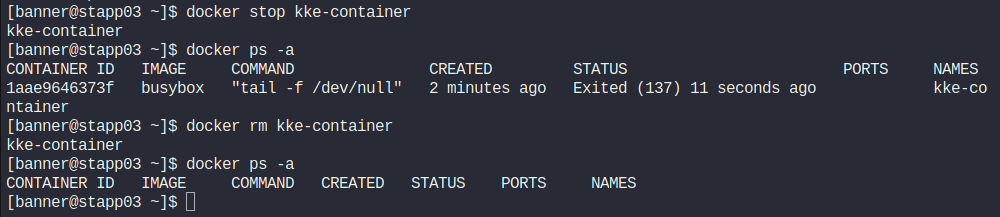 Docker | Level 1 | KodeKloud. [1.] Install Docker Packages and Start ...