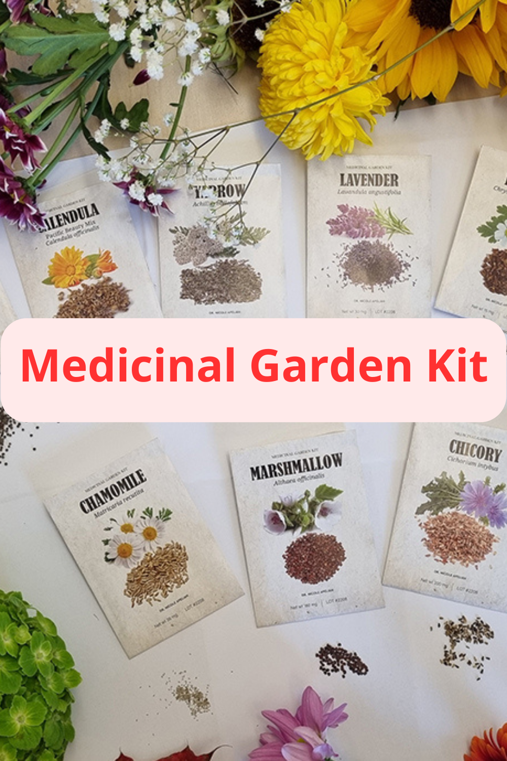 The Medicinal Garden Kit: Cultivate Your Wellness | by MARKETINGVIEW ...