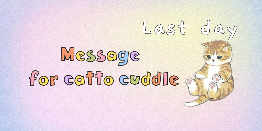 Message for Catto Cuddle - Renan Galadriel - Medium