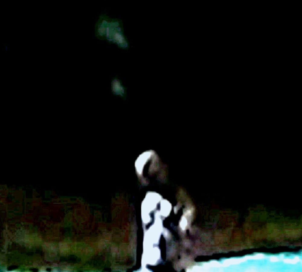 Spooky Grey Alien Encounter,. One of my friends had told me that they ...