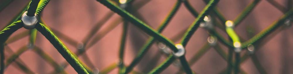 Enterprise Blockchain: Law of the Few | by Koen Vingerhoets | Medium