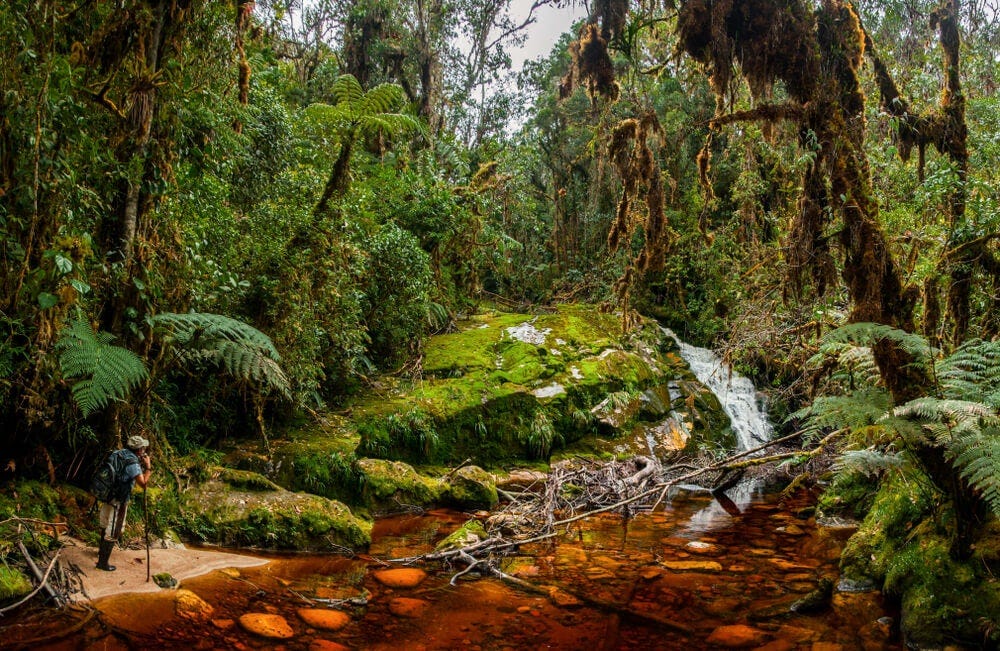 The Top 6 National Parks to Explore in Colombia | by Madalyne Loree ...