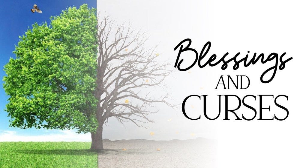 Blessings and Curses. Have mankind incurred the Deuteronomy… | by ...