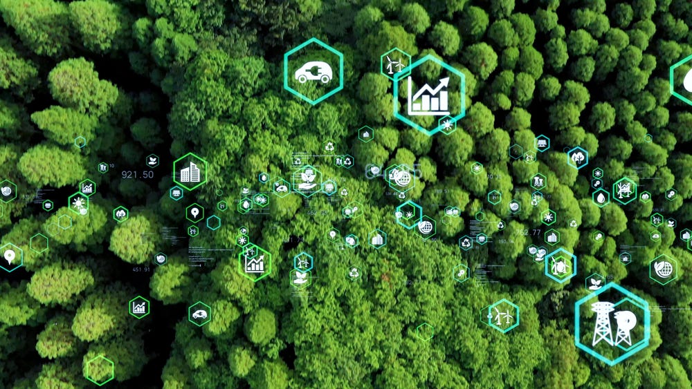 Managing forests with AI and machine learning | by ARNOWA | Medium