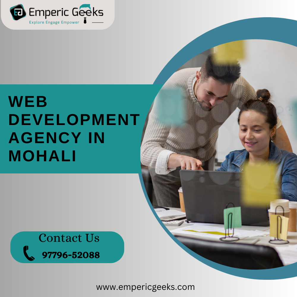 The Impact Of a Web Development Agency In Mohali - Seoempericgeeks - Medium