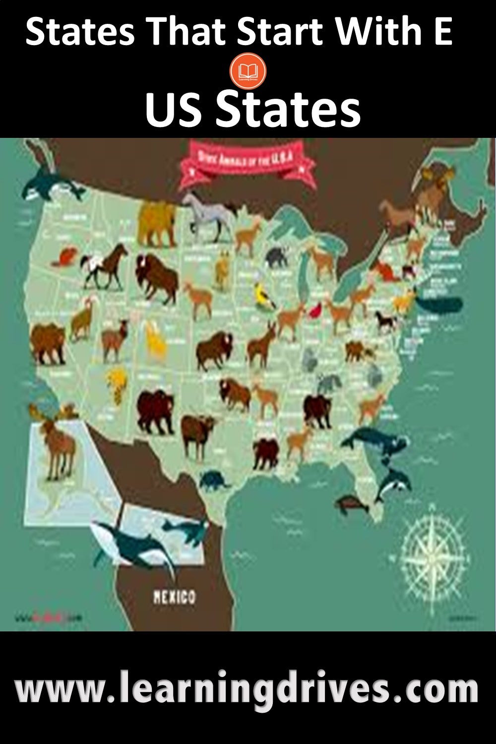 “States That Start With E” is a unique and interesting topic for ...