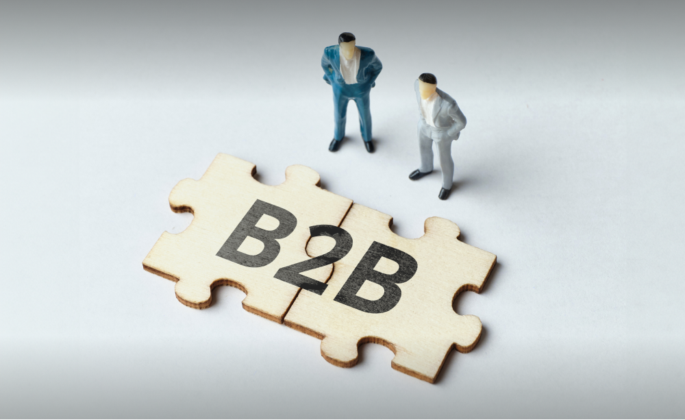 B2B Customer Retention Strategies for BigCommerce Stores - Cronix Web ...