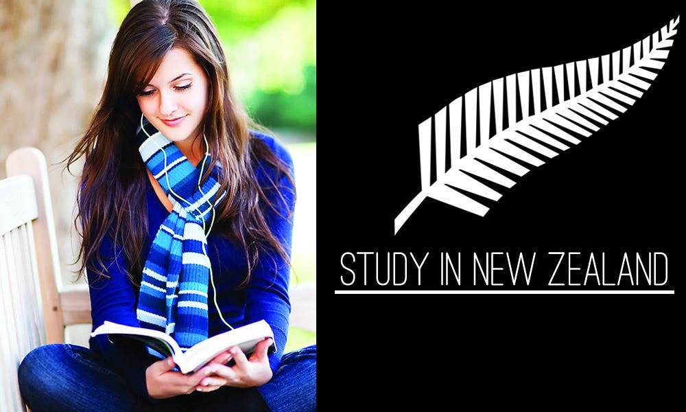 Top Reasons to Study in New Zealand | by Melissa Norris | Medium