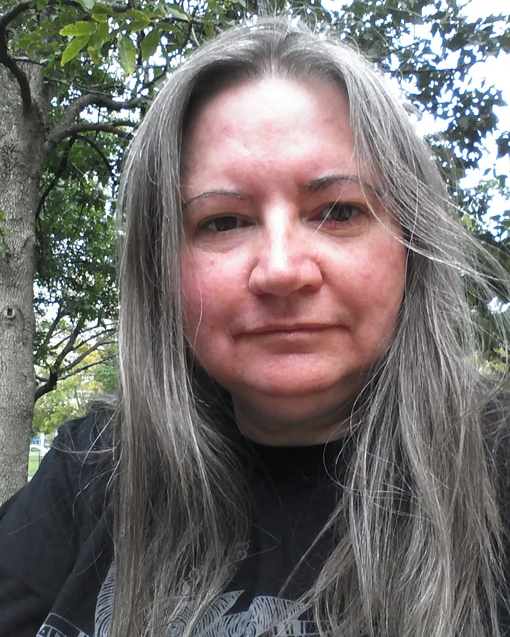 Spotlight #1: Amanda Earl | by rob mclennan | ANMLY | Medium