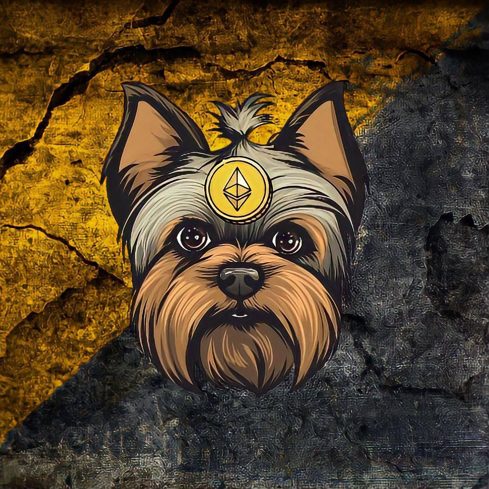 For instance, Floki is another one of Elon’s dogs. Floki struck. a few ...