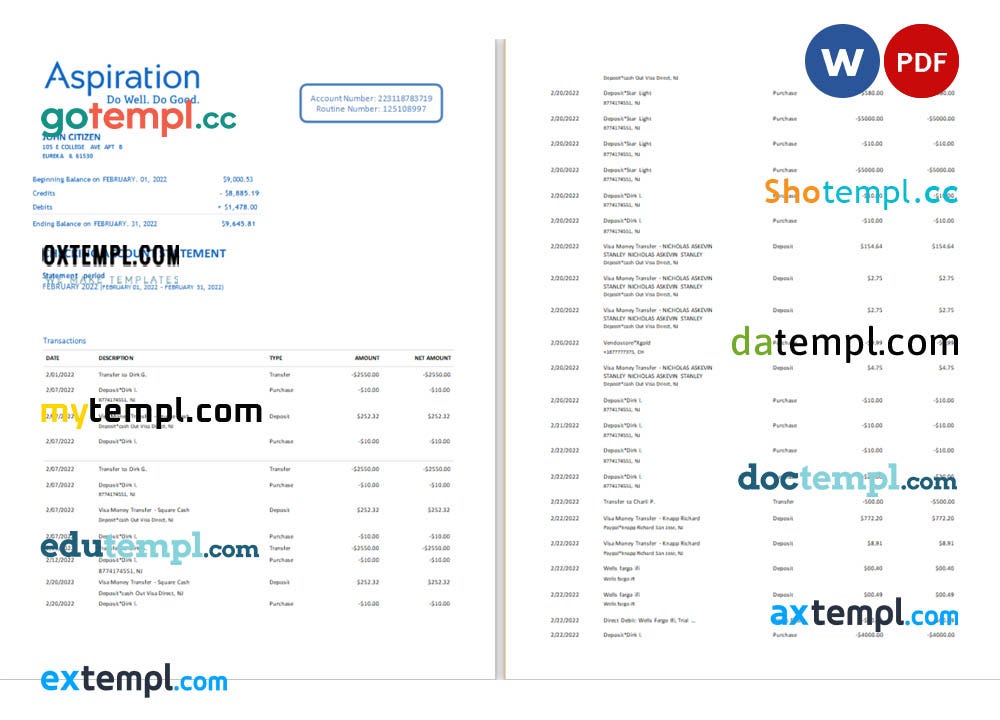 USA Aspiration bank statement Word and PDF template, 2 pages | by ...