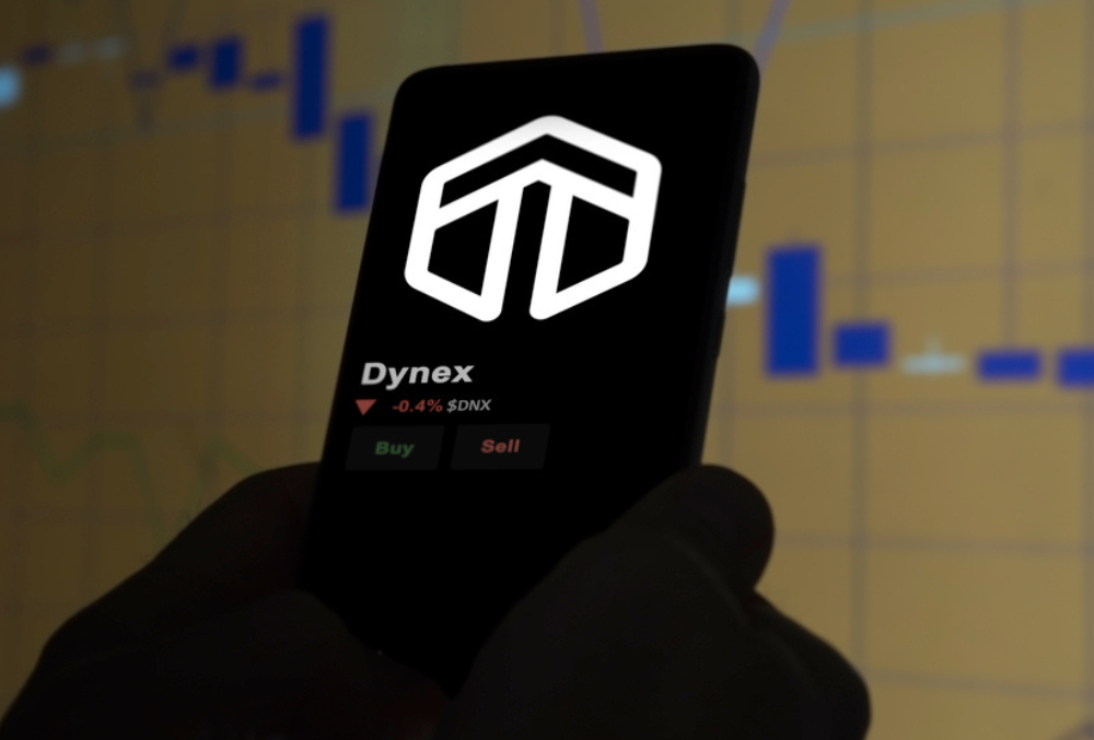 Bitcoin vs. Dynex: A Comparative Analysis | by John Palmer ...