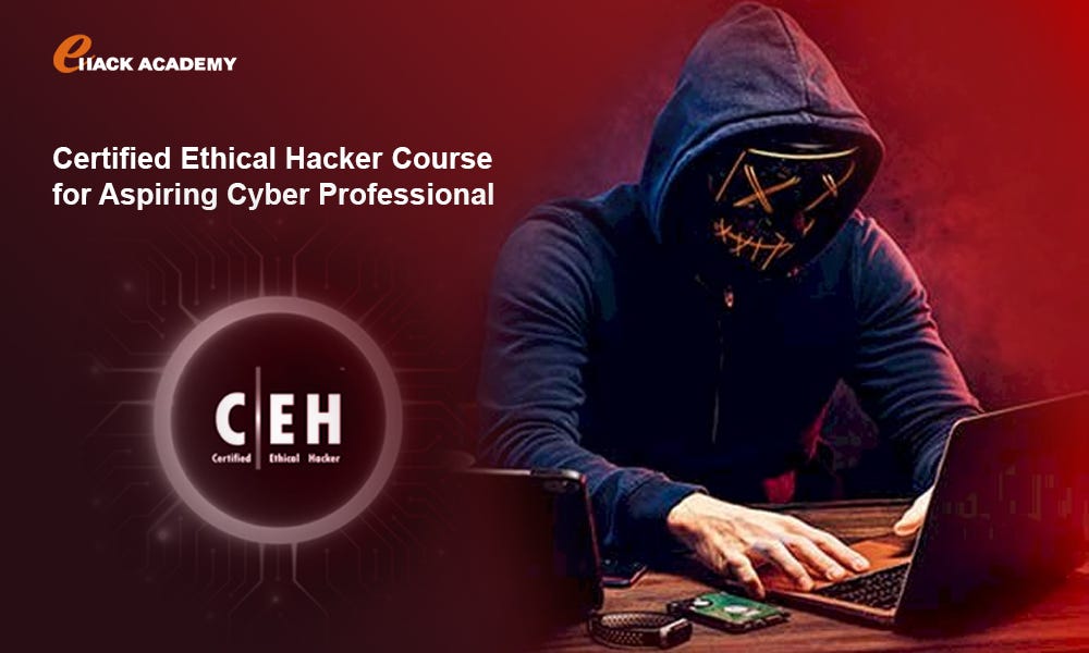 Certified Ethical Hacker Course for Aspiring Cyber Professional | by ...