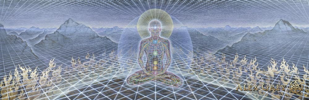 Human Energy Field Art