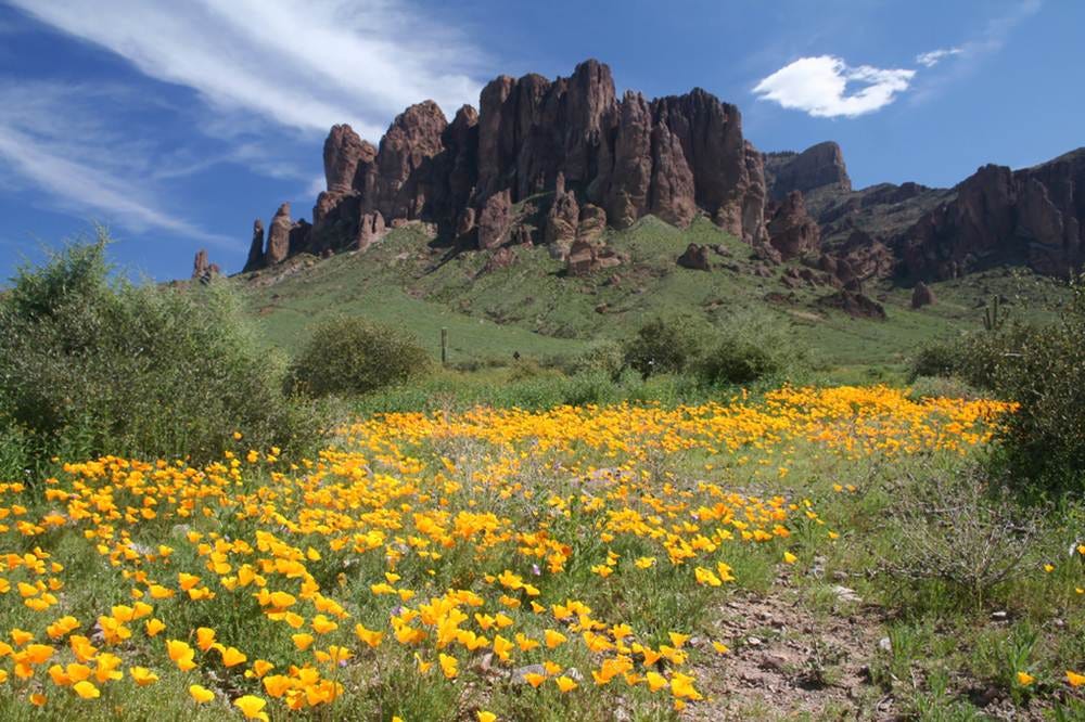 The Superstition Mountain: The mountain beauty with mystery | by Tourism & Investment | Medium
