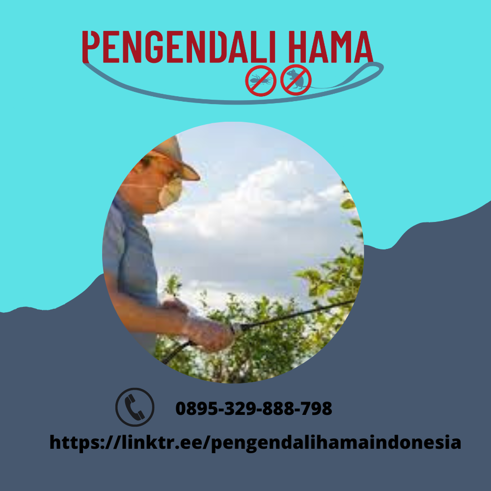 Specialist Pengendali Hama - Jasapengendalihama - Medium