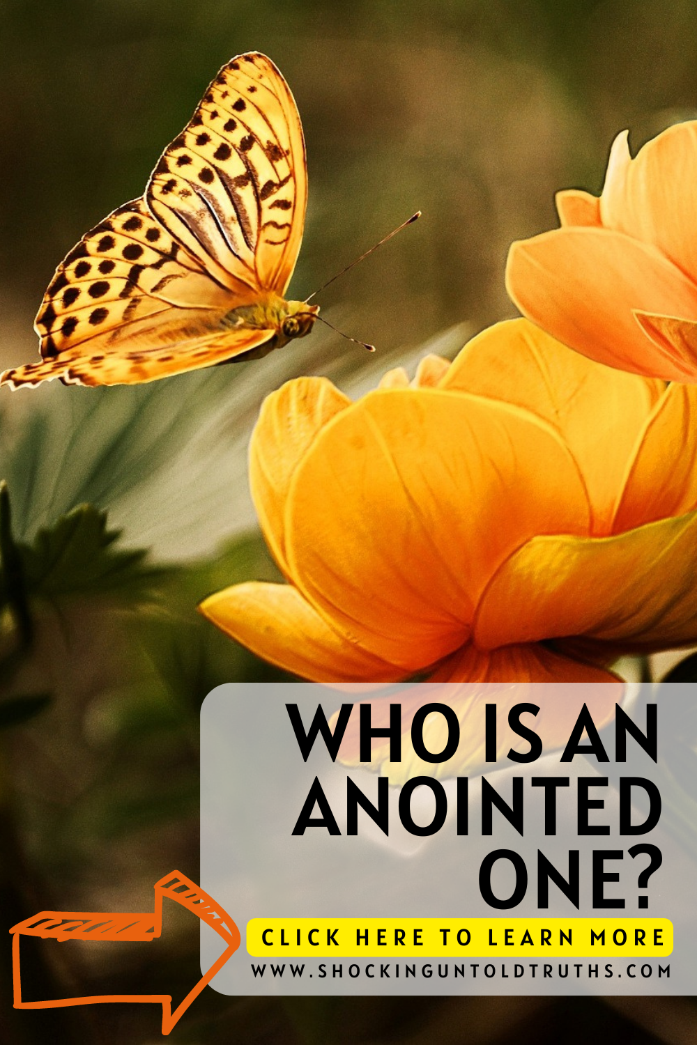 THE ANOINTED ONE!. So here are some of the mysteries we… | by Mat St ...