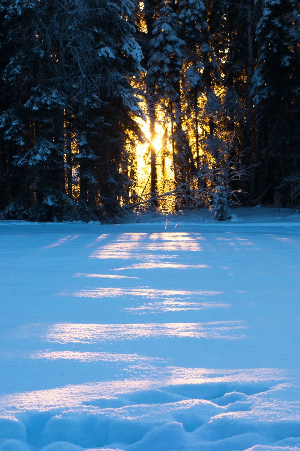 Smells Like Snow - ILLUMINATION - Medium