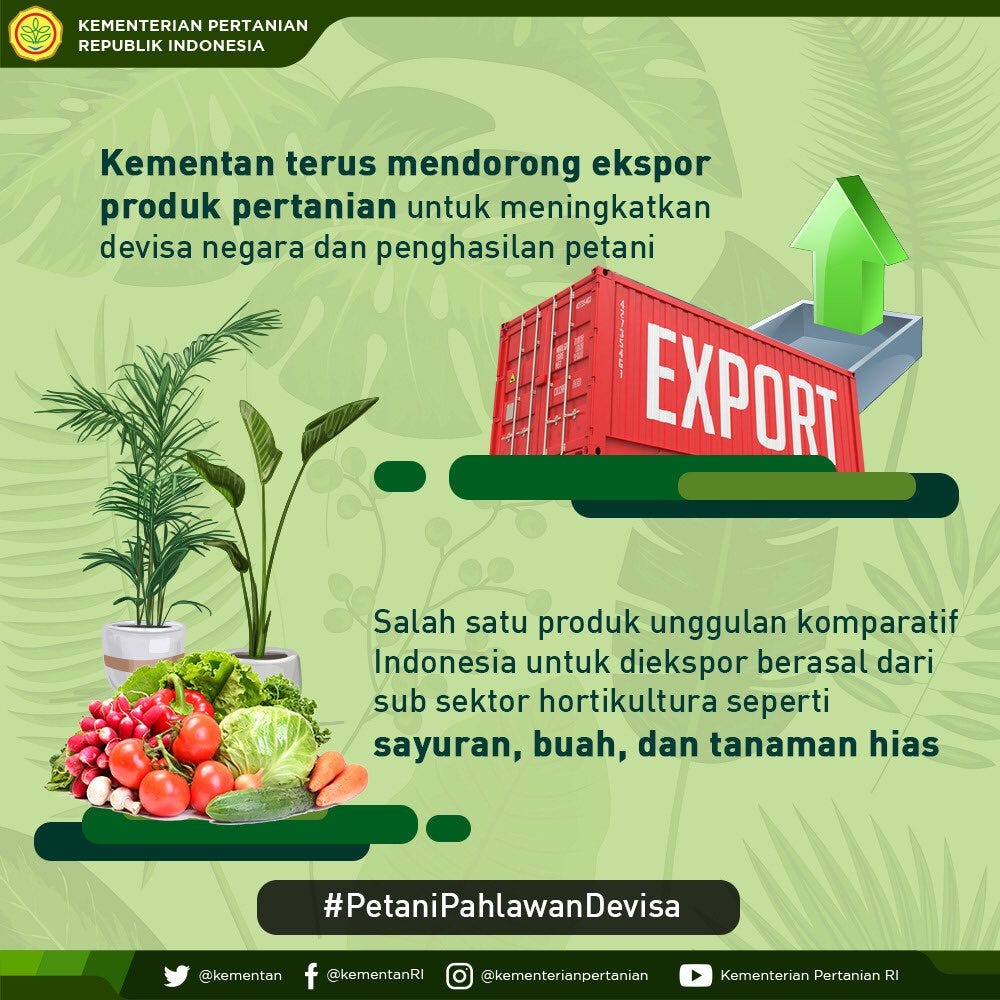 5 Types of Export Leading Agricultural Products for Indonesia in 2022 ...
