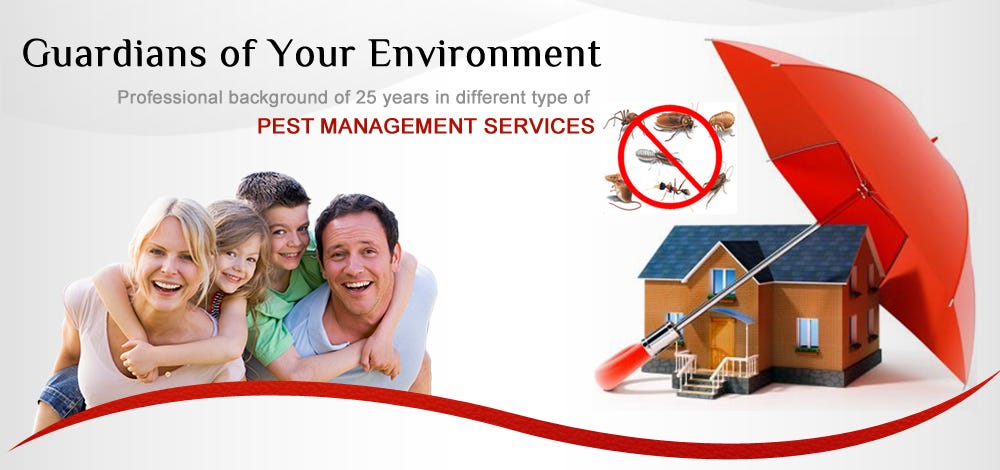 How to Choose the Right Mice Exterminator NYC Service | by Pest Control ...