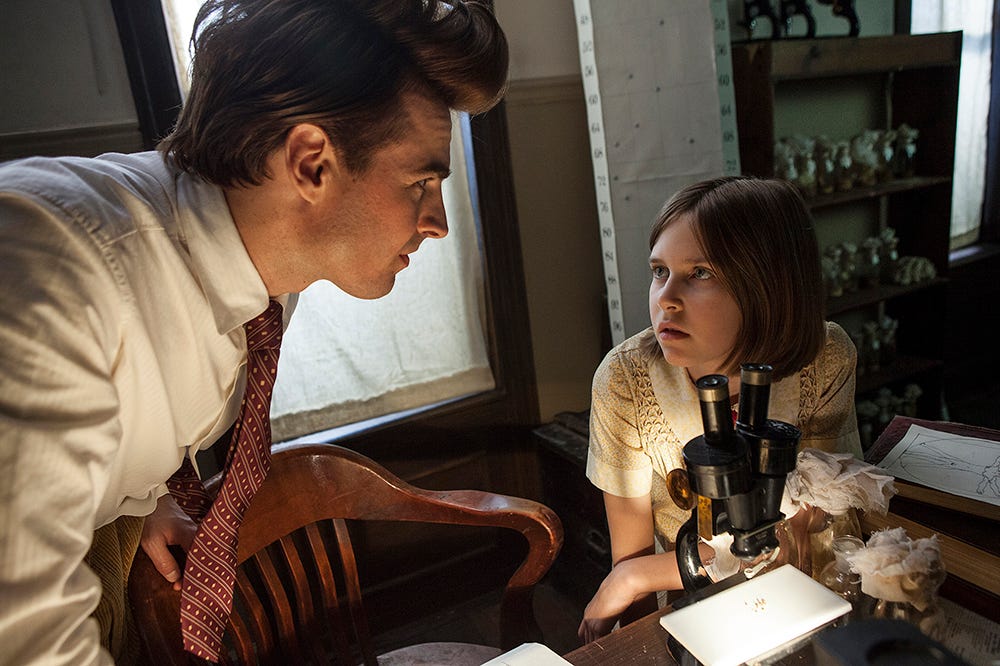 In Conversation With Alexis Gambis About “The Fly Room,” Filmmaking ...