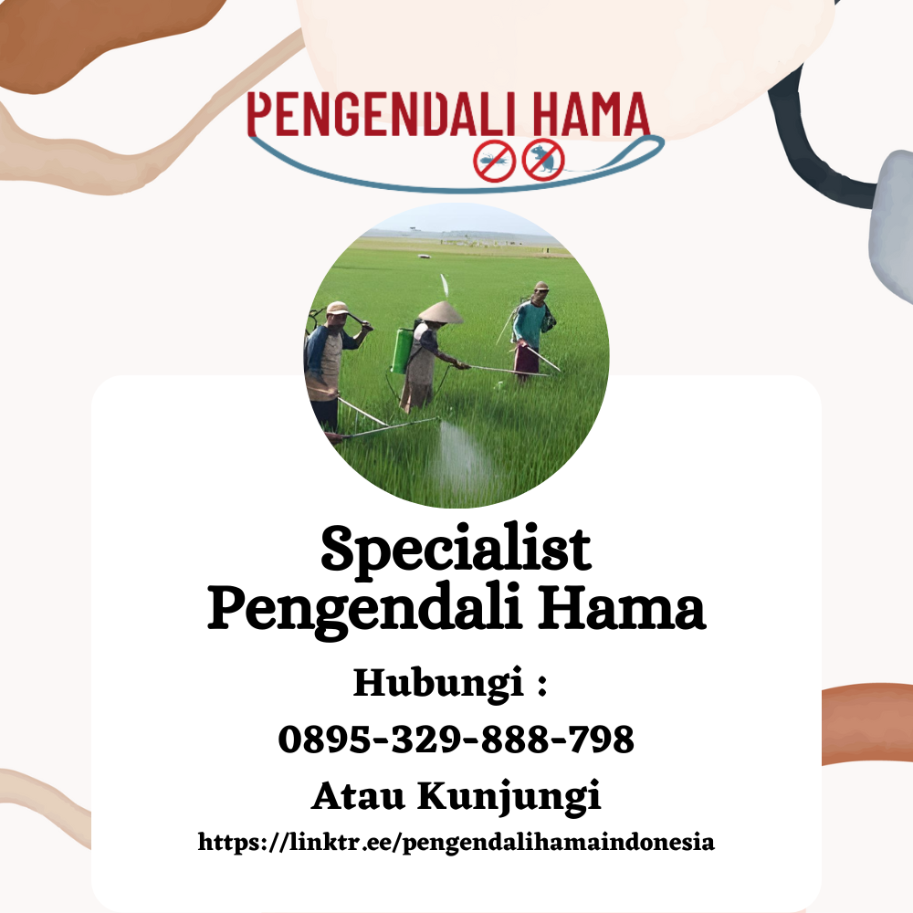 Specialist Pengendali Hama - Jasapengendalihama - Medium