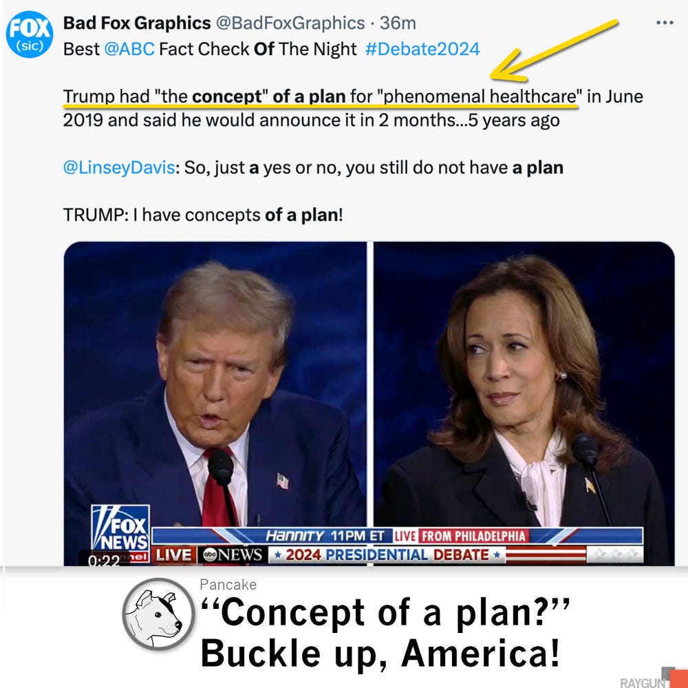 Concepts of a Plan”: Incompetence, Strategy, or a Collision of Logics ...