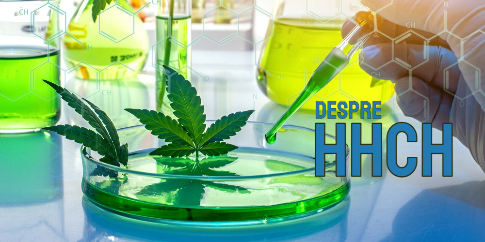 Despre HHCH. Hexahidrocanabihexolul (HHCH) este un… | by Valentin Chiper | Medium