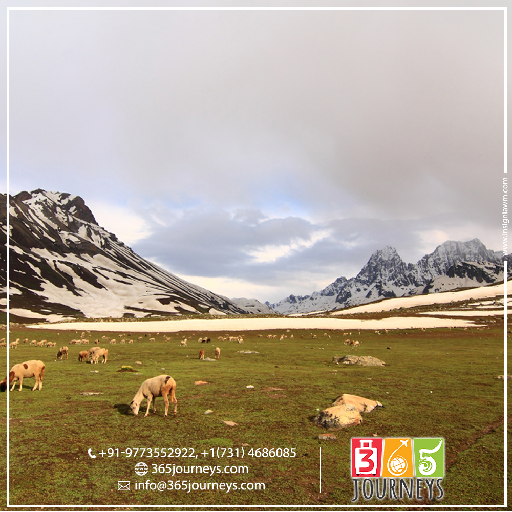 Kashmir calling, A scenic spot to watch nature closely | by 365 ...
