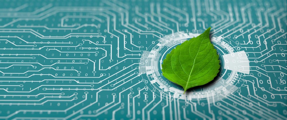 Why Sustainable Tech is the 2024 Top Trend | by Kepler's Team | Medium