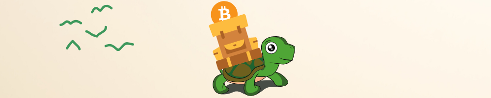 Best time to buy Bitcoin? Dollar Cost Averaging explained (in 6o ...