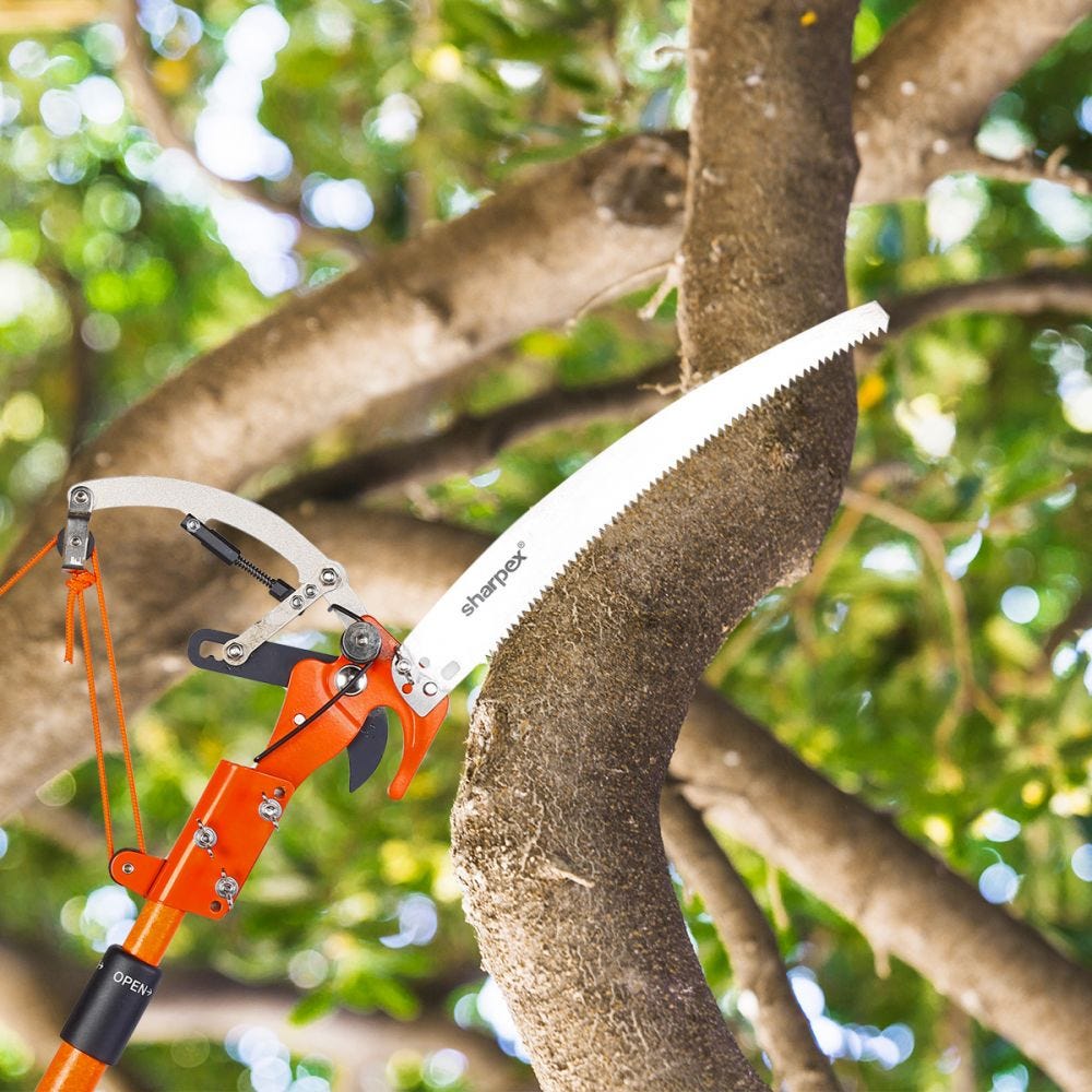 Tree cutting, also known as tree felling or tree removal, involves the ...