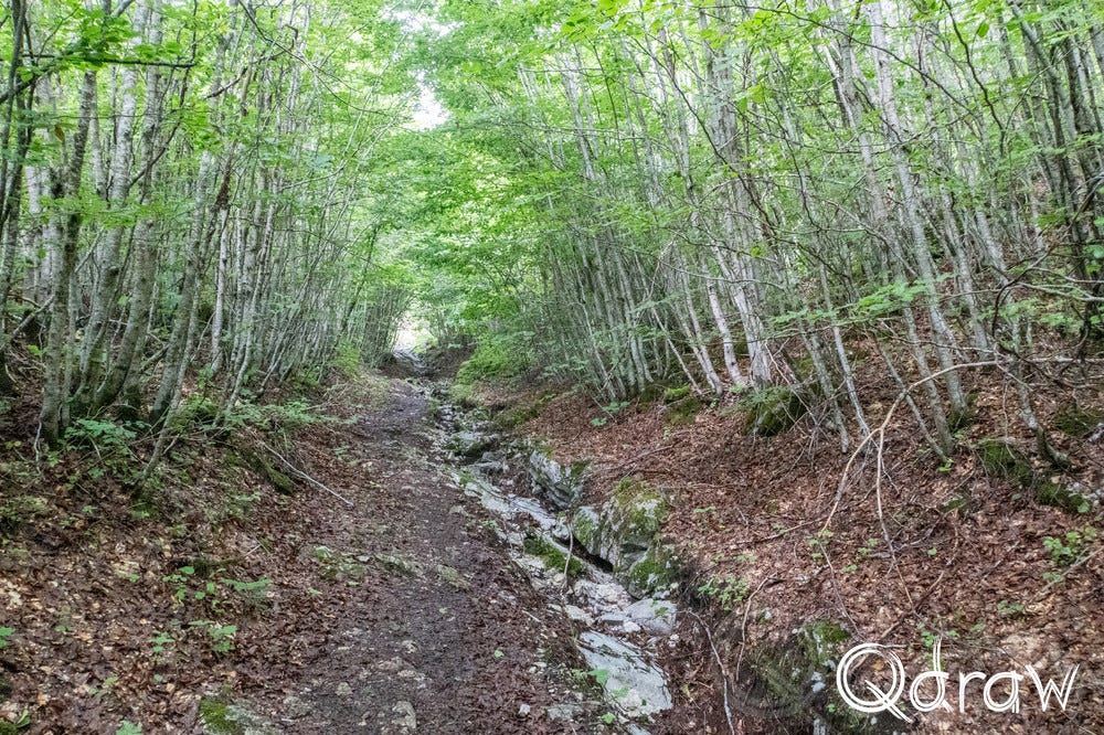Peaks of the Balkans Trail Stage 9: Ropojansko Jezero to Qafa e Pejës ...
