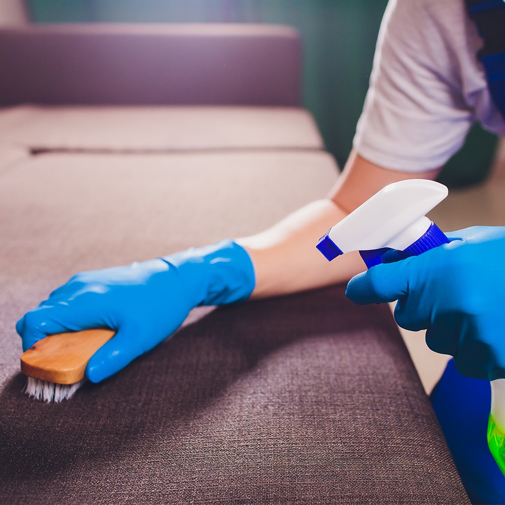 End Of Tenancy Cleaning BrightonProfessional Cleaning Services To Have ...
