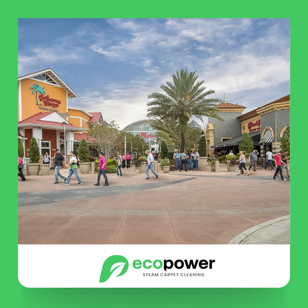 Shopping & Dining at Brandon Town Center: Your Go-To Spot in Brandon ...