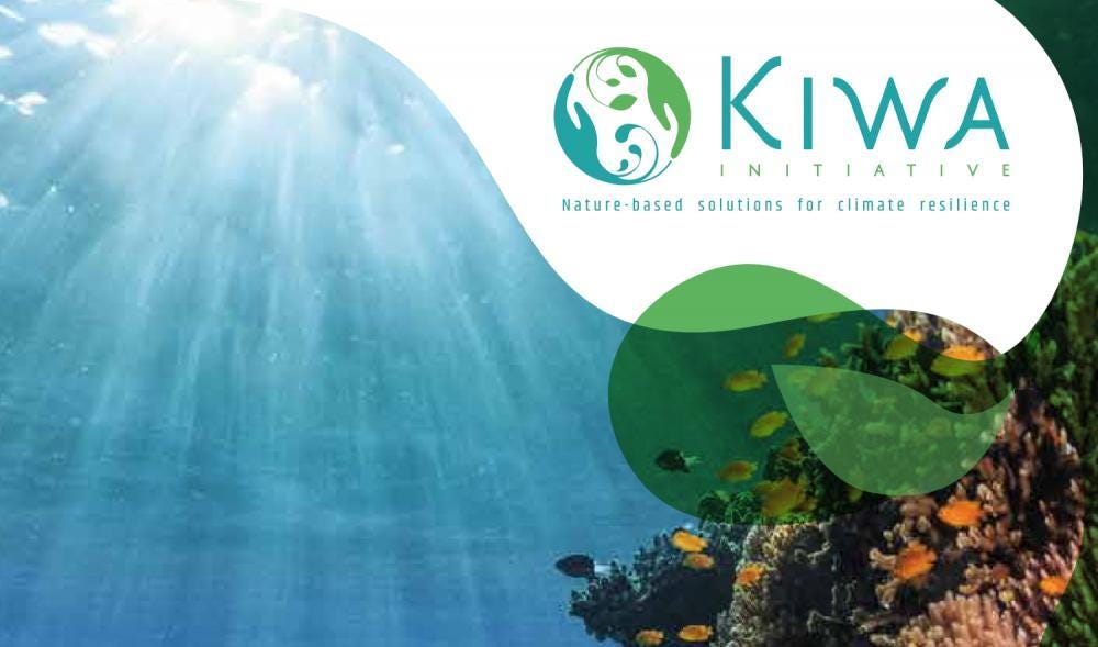 10 Key Insights About Social Entrepreneurship from Kiva | by Navid ...