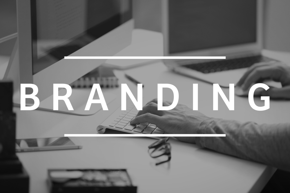 Reasons Why Branding Is Crucial For Start-Ups | by Quaive Studio | Medium