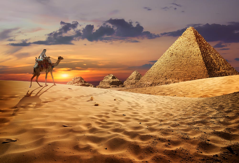 Signer Digital Browser Extension for Egypt E-Invoice Solution | by ...