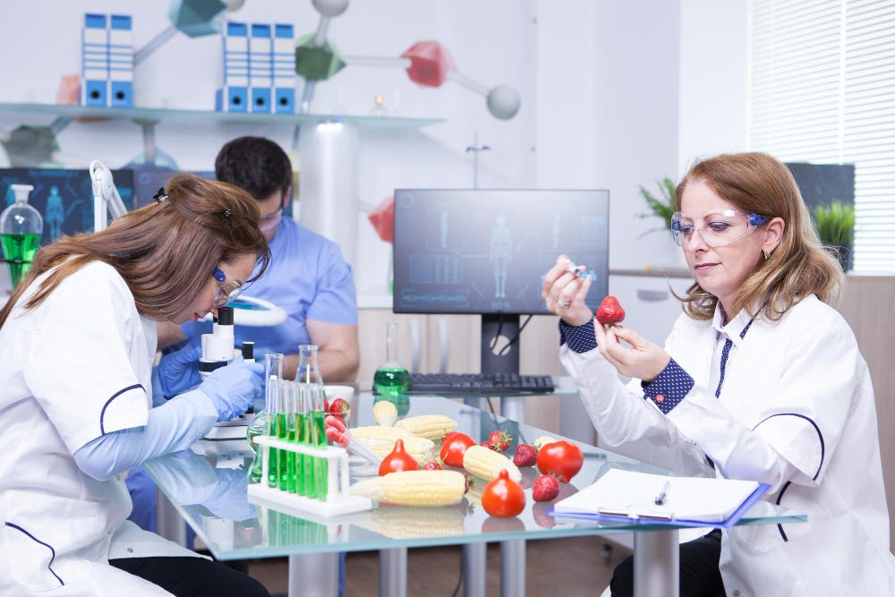 Ensuring Excellence: The Role of a Food Safety Auditing Lab | by RCA ...
